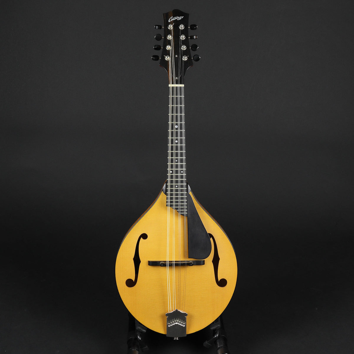 Collings MT Mandolin - Honey Blonde (Pre-owned) – Mak's Guitars