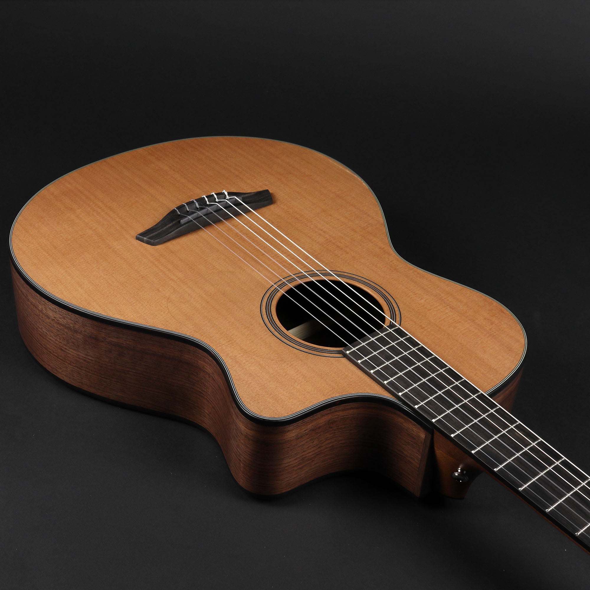 Furch GNc 2-CW Nylon-String Guitar – Mak's Guitars