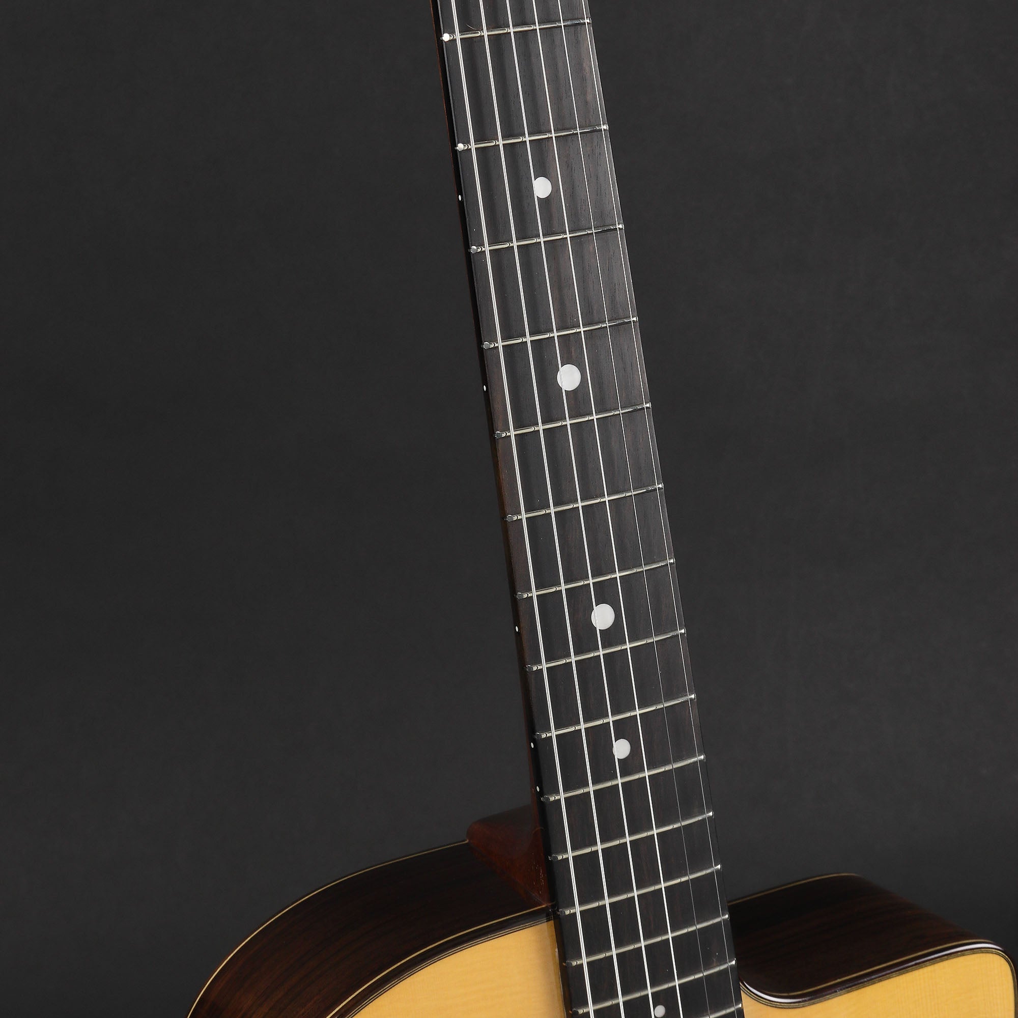 Altamira M30 Selmer Style Gypsy Jazz Guitar w/case – Mak's Guitars