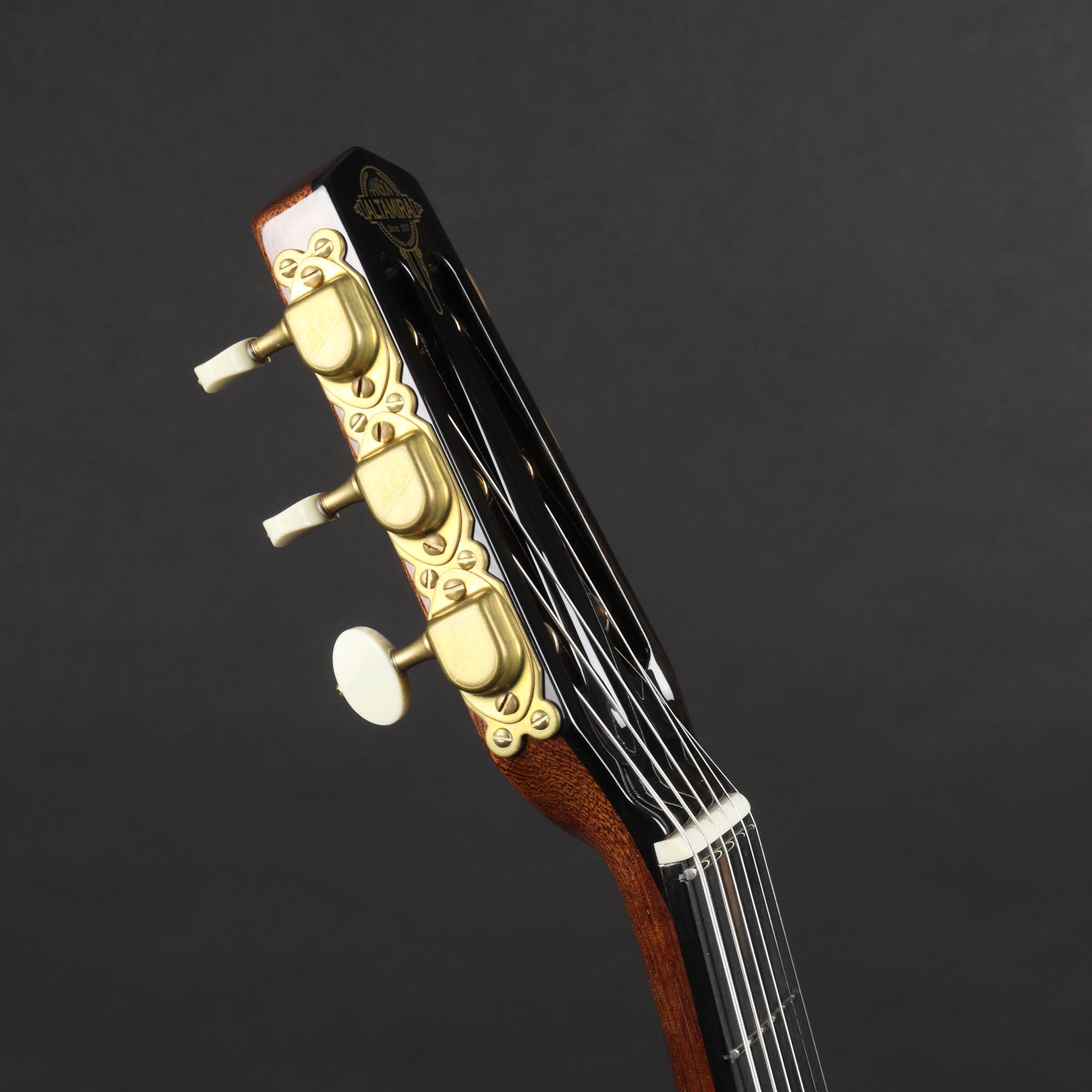 Altamira M30 Selmer Style Gypsy Jazz Guitar w/case – Mak's Guitars
