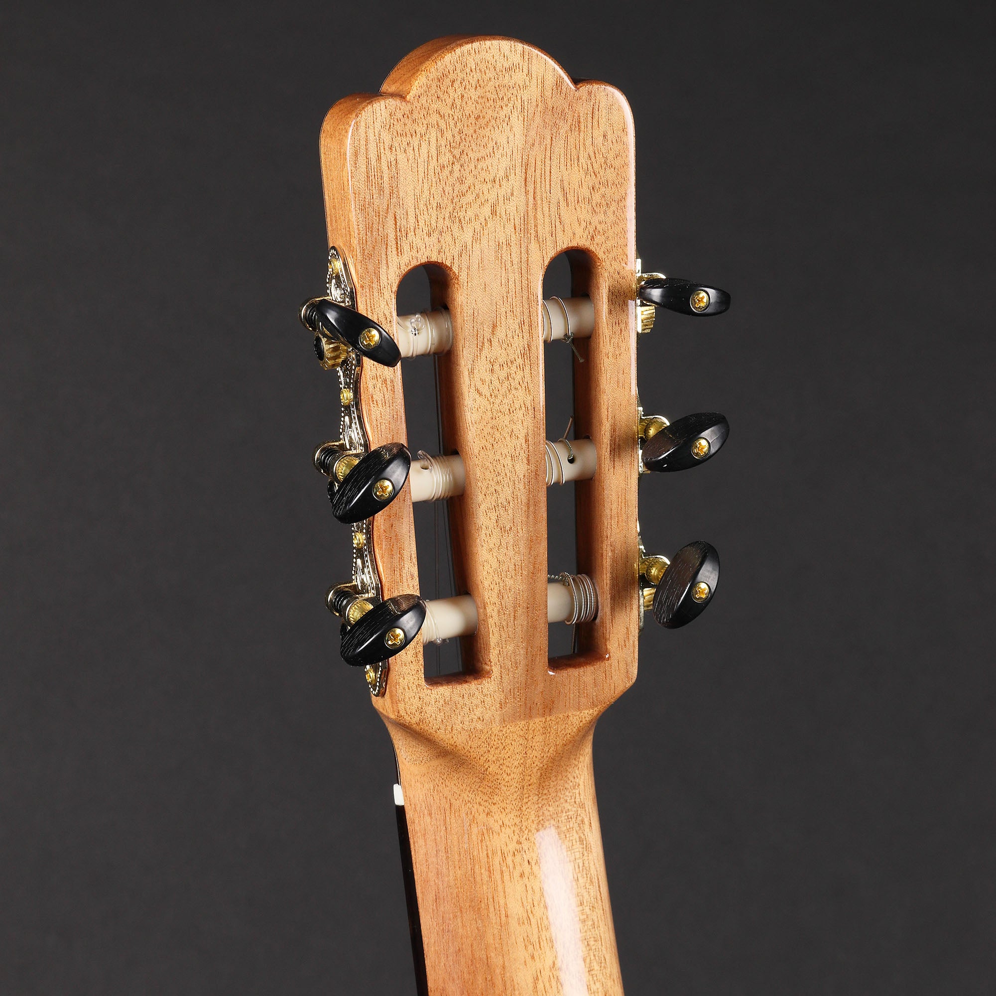 Aria S205 Spruce/Rosewood Classical Guitar – Mak's Guitars