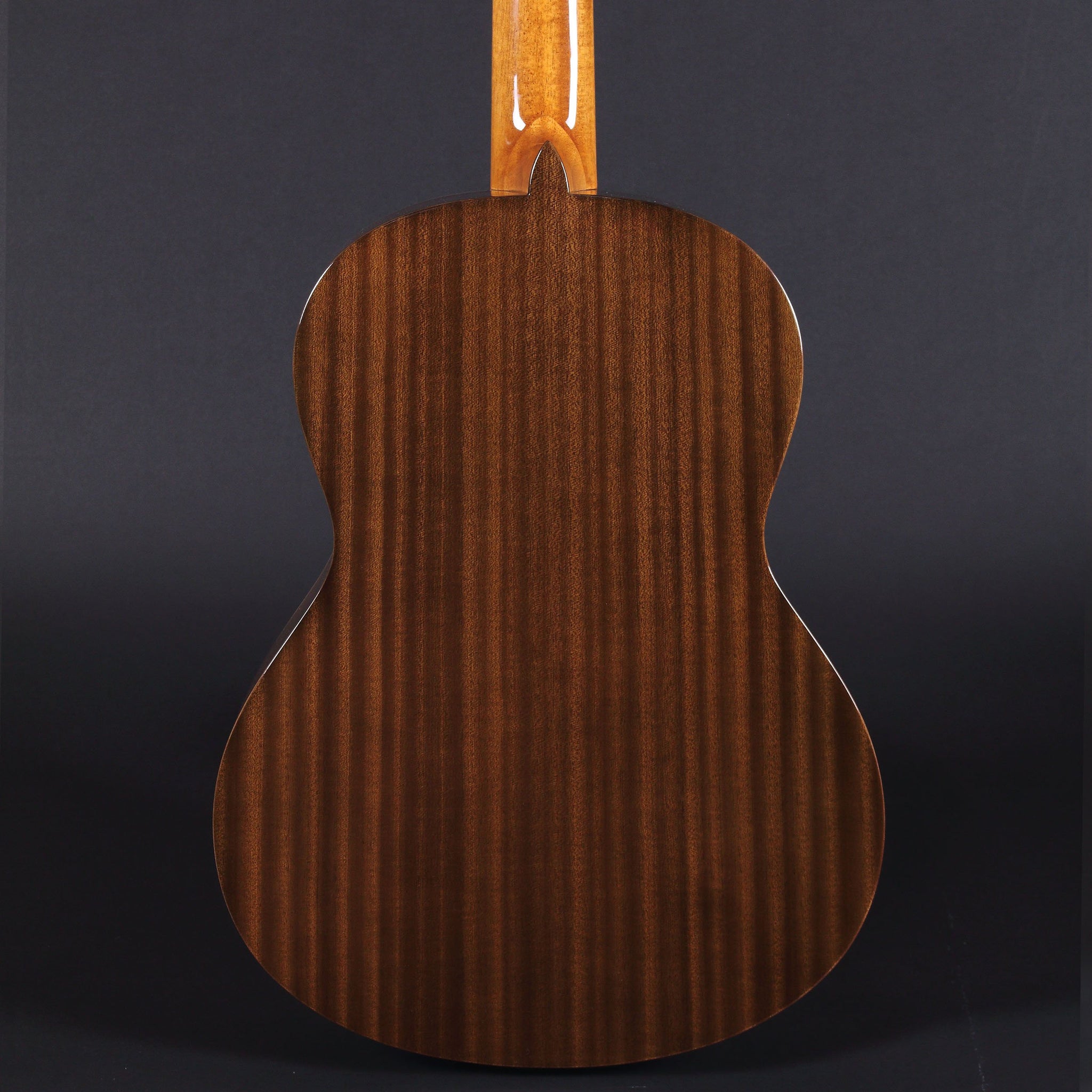 Paco Castillo 201 Classical Guitar – Mak's Guitars