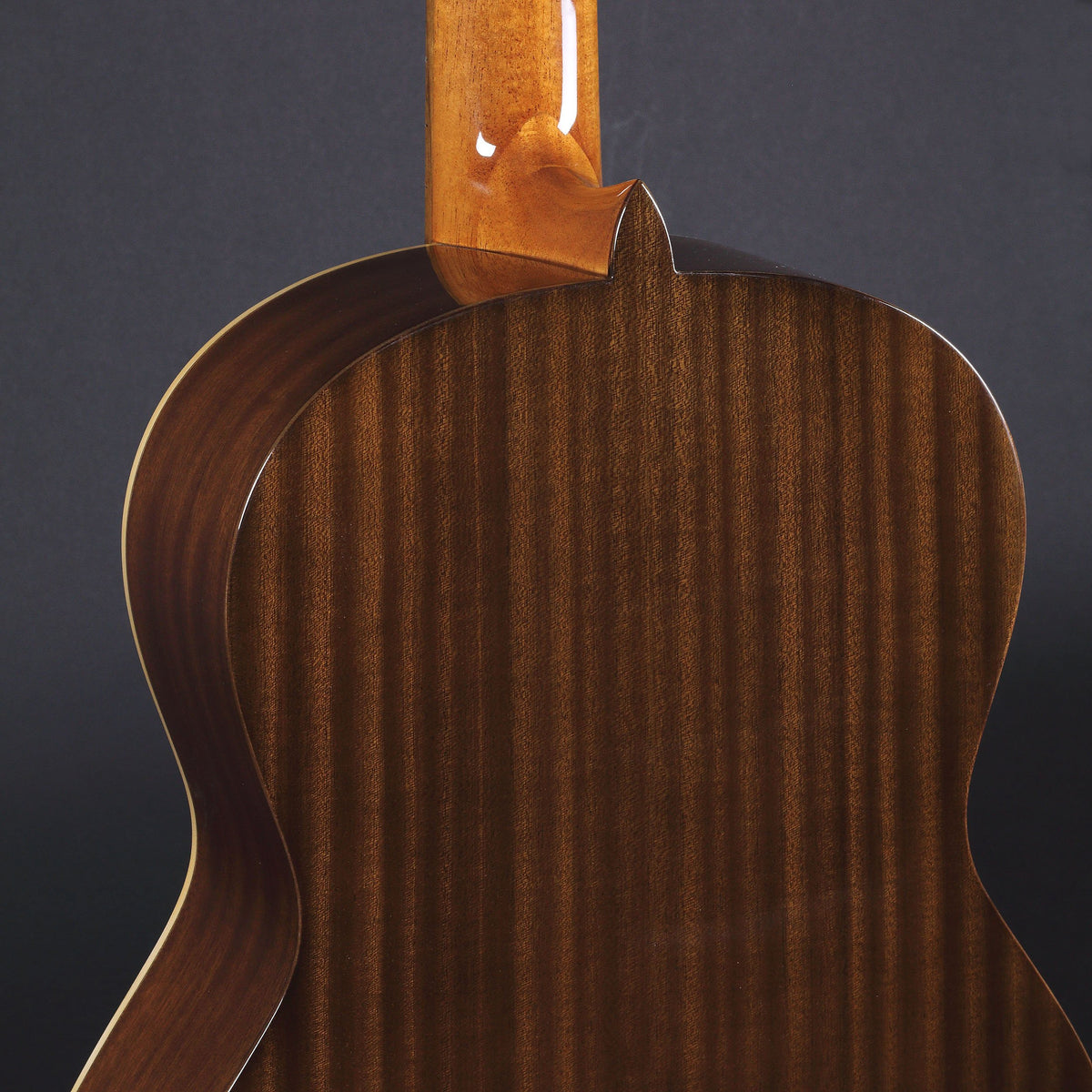 Paco Castillo 201 Classical Guitar – Mak's Guitars