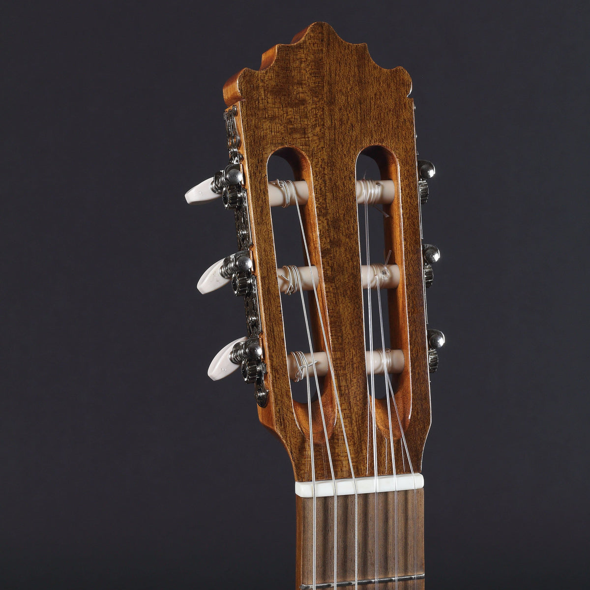 Paco Castillo 201 Classical Guitar – Mak's Guitars