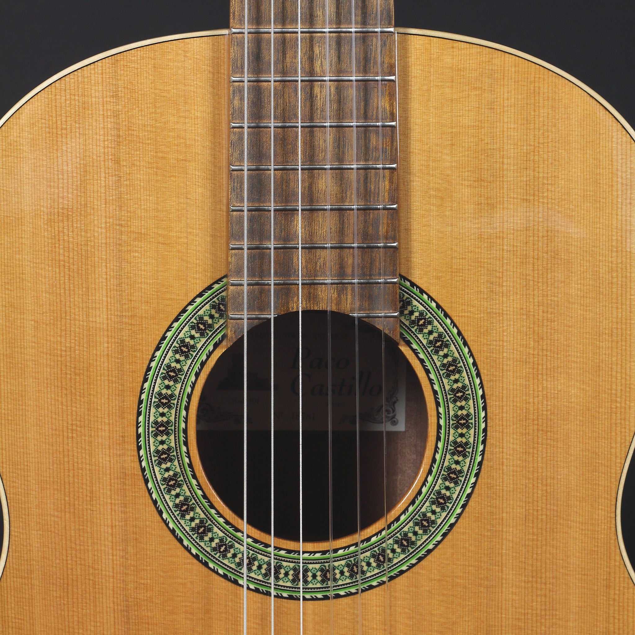 Paco Castillo 201 Classical Guitar – Mak's Guitars